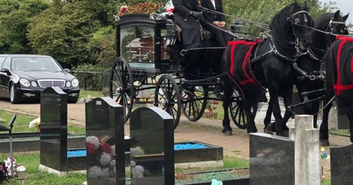 Traditional or Natural Burials in London – Poppy's Funerals