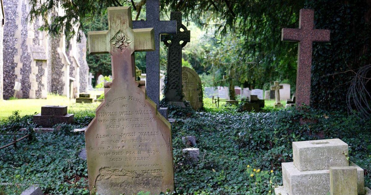 Should we be reusing graves? – Poppy's Blog – Poppy's Funerals