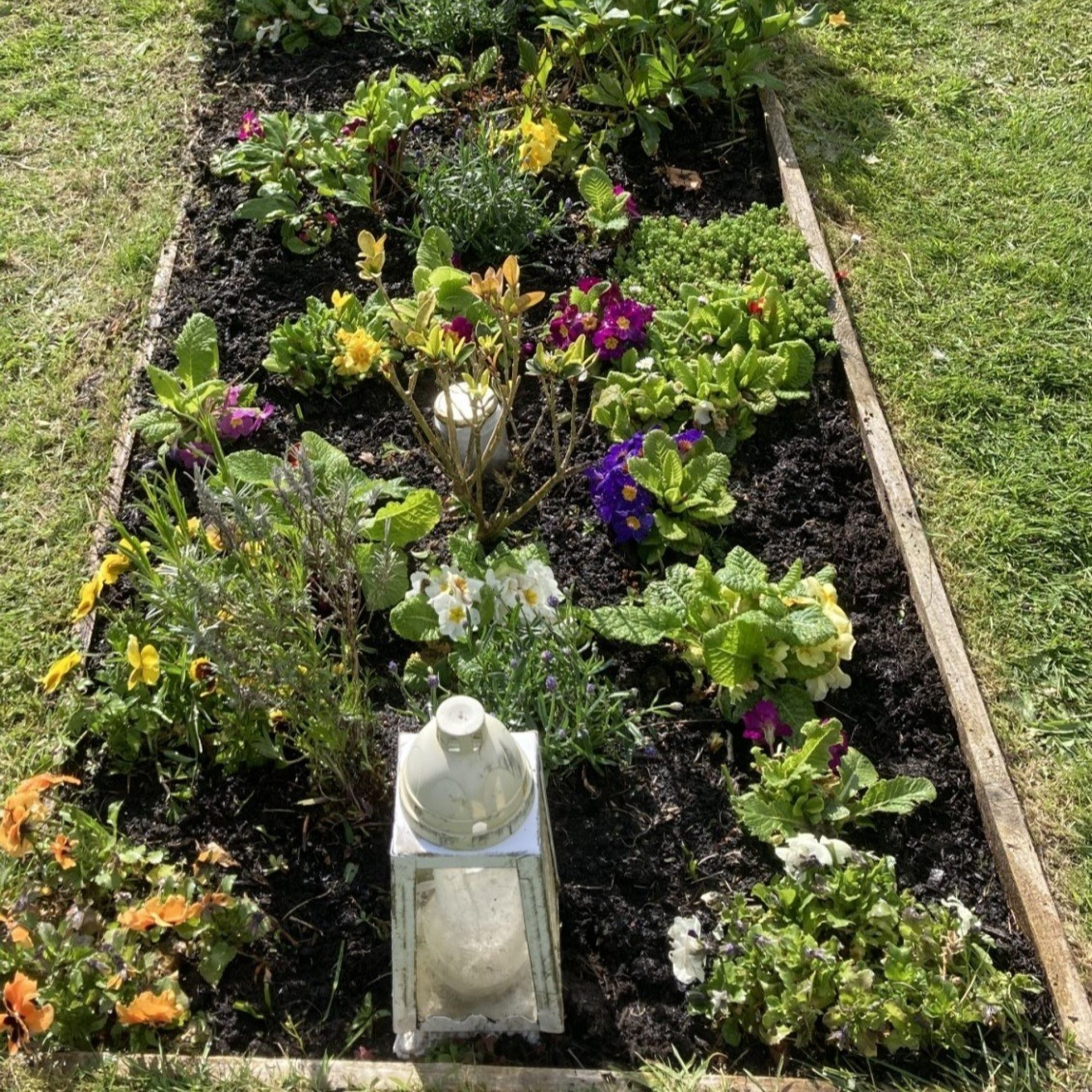 Graveside gardening — Tending a cemetery plot through the seasons ...