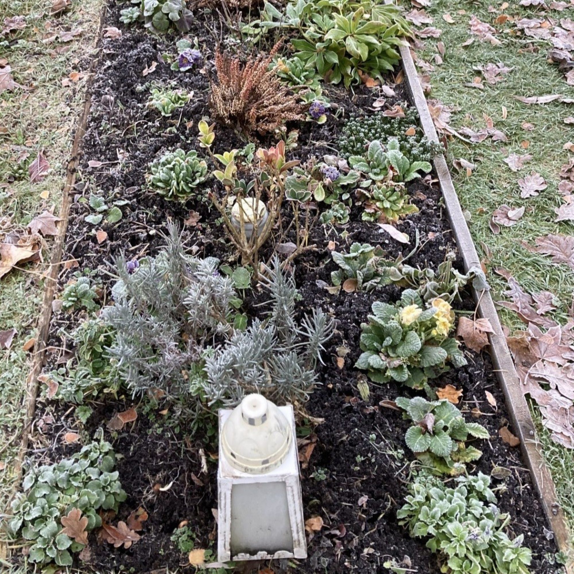 Graveside gardening — Tending a cemetery plot through the seasons ...