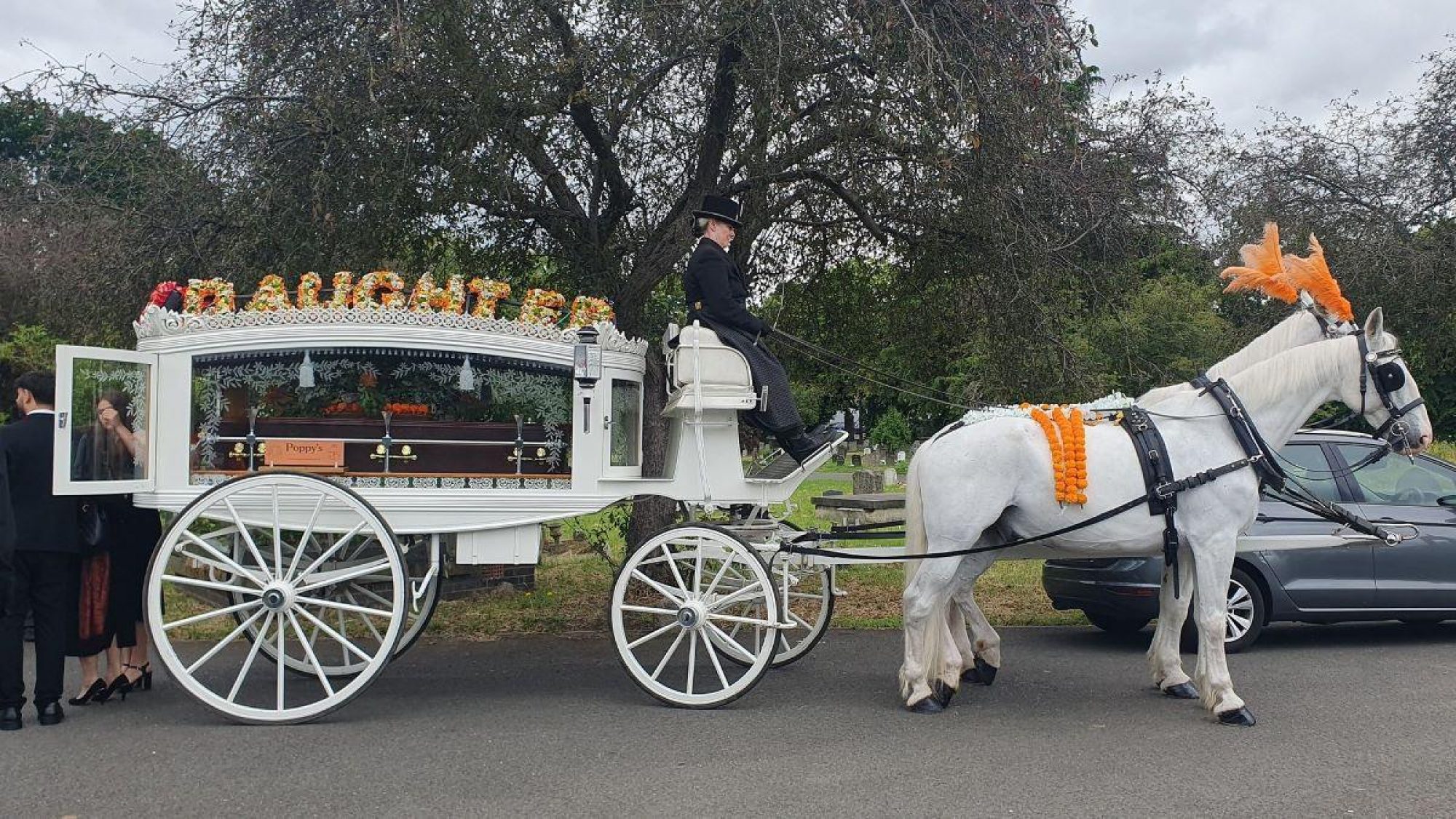 Why choose a horse-drawn hearse? – Poppy's Blog – Poppy's Funerals