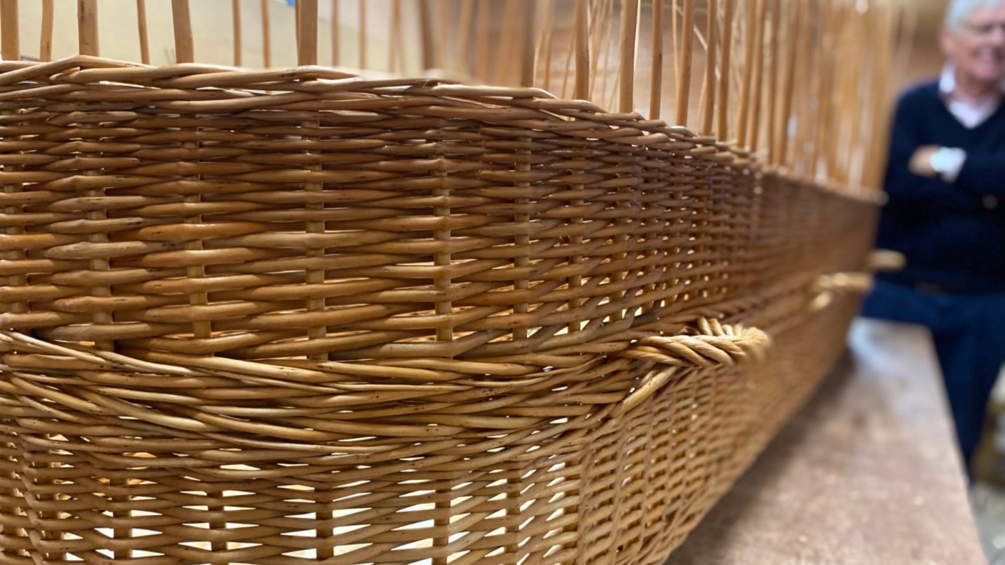 Which is the most eco friendly coffin? – Poppy's Blog – Poppy's Funerals