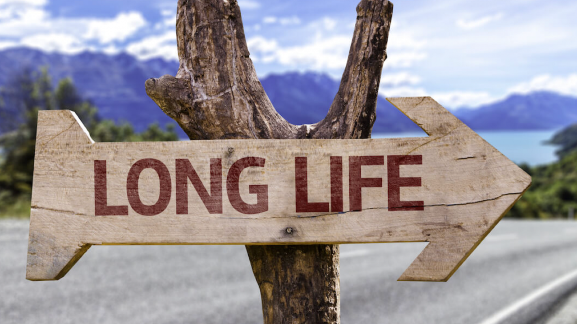 Life Lessons on Death by Poppy Mardall: Longevity, end of life doulas ...